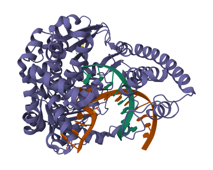 镁孚泰生物酶改造案例 新酶开发案例 酶工业开发案例 酶生产案例 - Molefuture