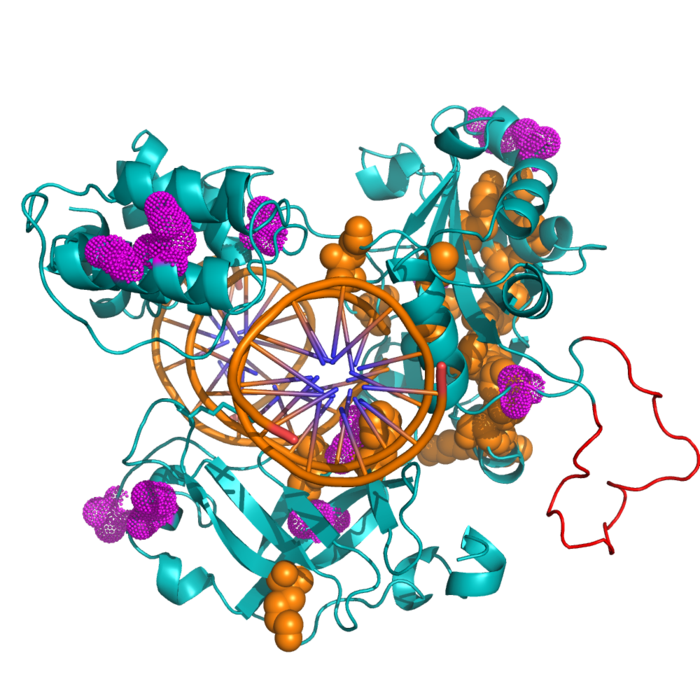 镁孚泰生物酶改造案例 新酶开发案例 酶工业开发案例 酶生产案例 - Molefuture