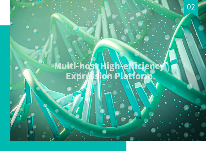 Molefuture Biotechnology Platform Molefuture Bioenzyme Transformation Technology Platform ...