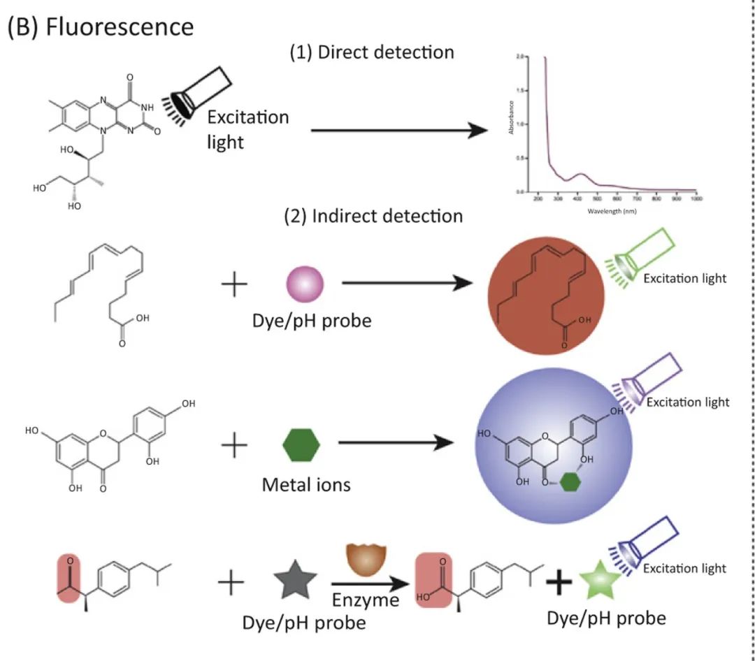 Correlation between genotype and phenotype in enzyme directed evolution ...