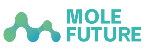 Articles online! FADS and semi-rational design modified T7 RNA ...