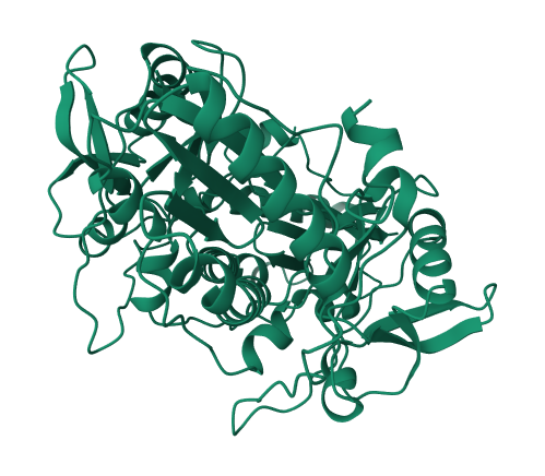 镁孚泰生物酶改造案例 新酶开发案例 酶工业开发案例 酶生产案例 - Molefuture