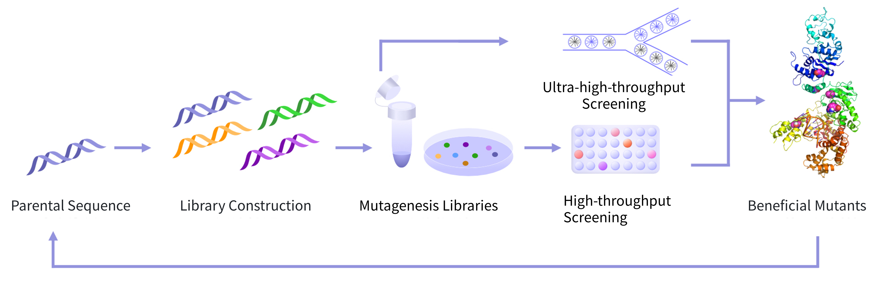 ZymeEditor enzyme evolution platform ZymeEditor enzyme transformation technology platform ...